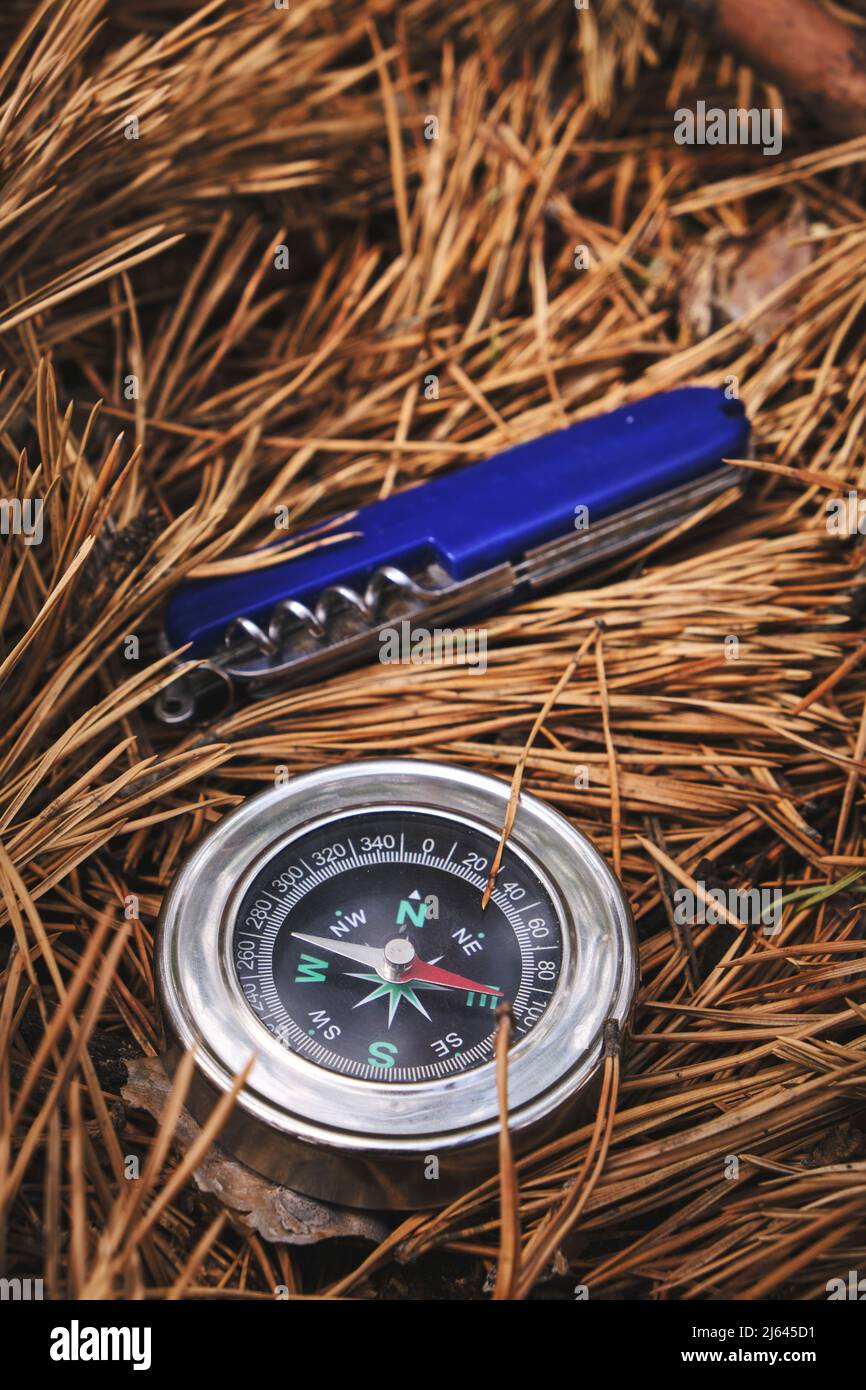 Aiguilles à compas Banque de photographies et d’images à haute ...