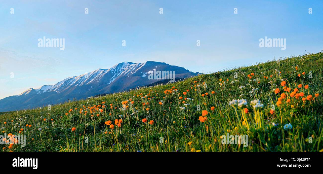Mei tai Banque de photographies et d’images à haute résolution - Alamy