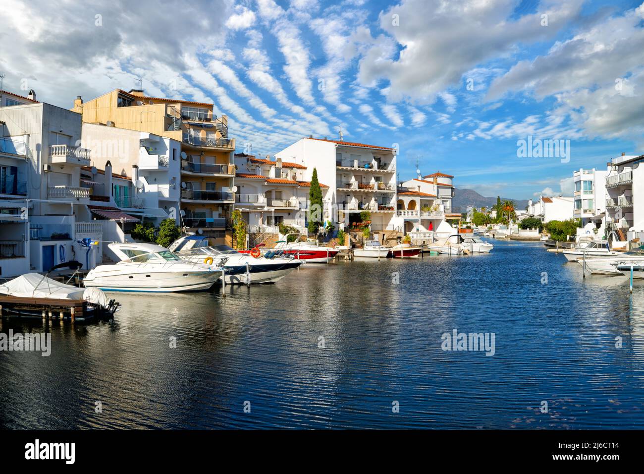 Golf de roses Banque de photographies et d’images à haute résolution ...