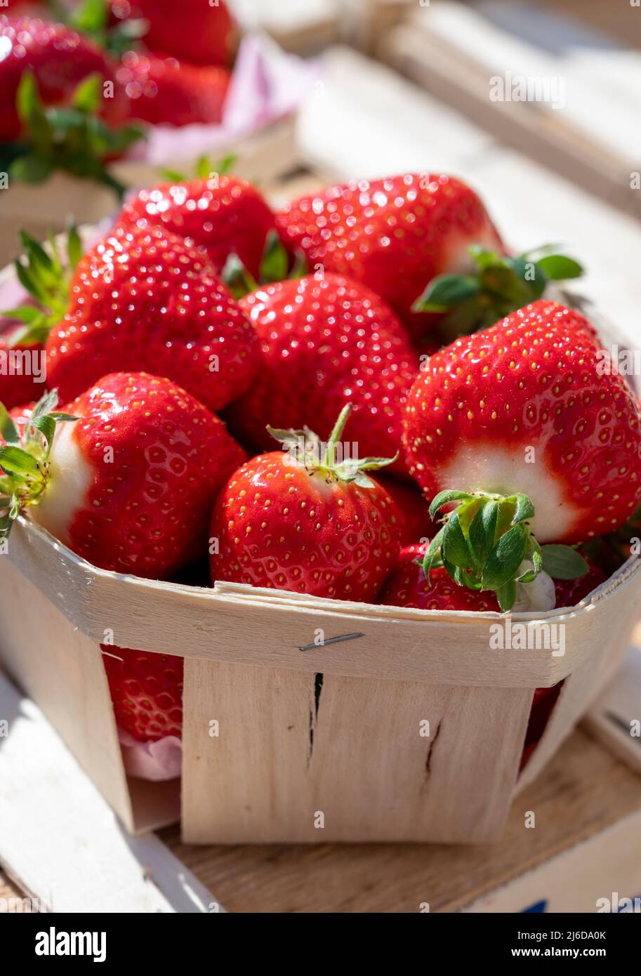 Panier de courses pour manger france Banque de photographies et d ...