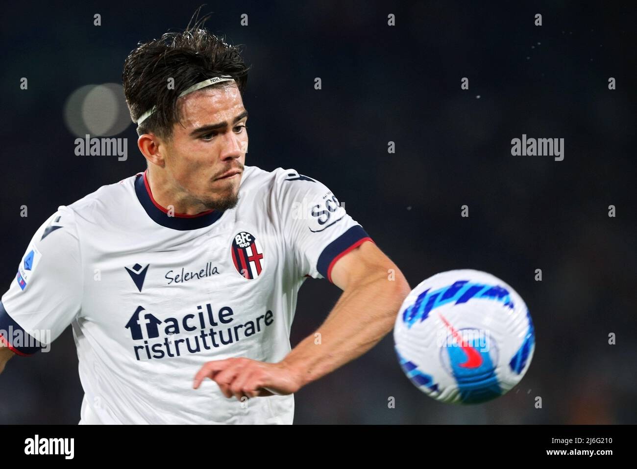 Denso kasius Banque de photographies et d’images à haute résolution - Alamy