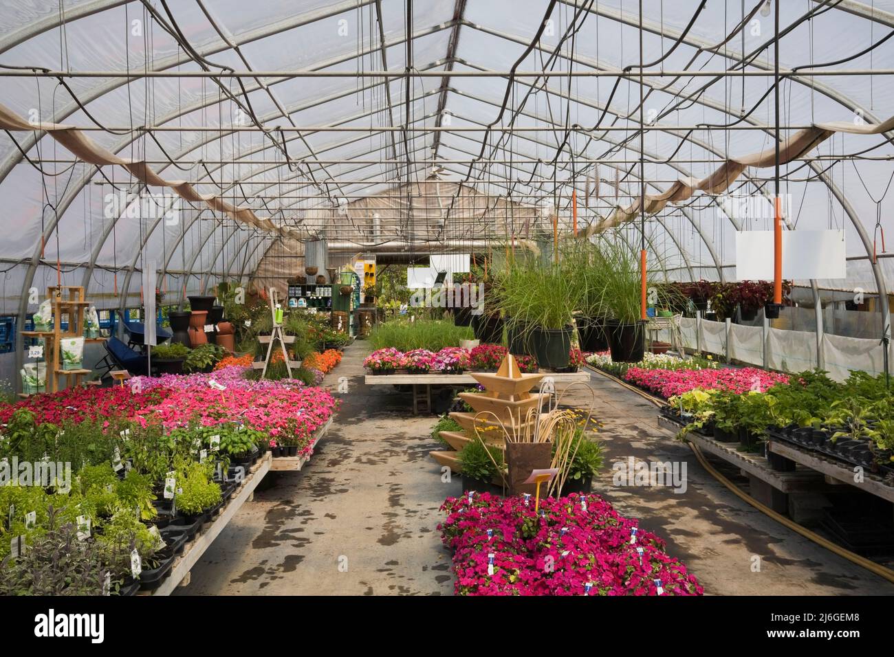 Production en serre Banque de photographies et d’images à haute ...