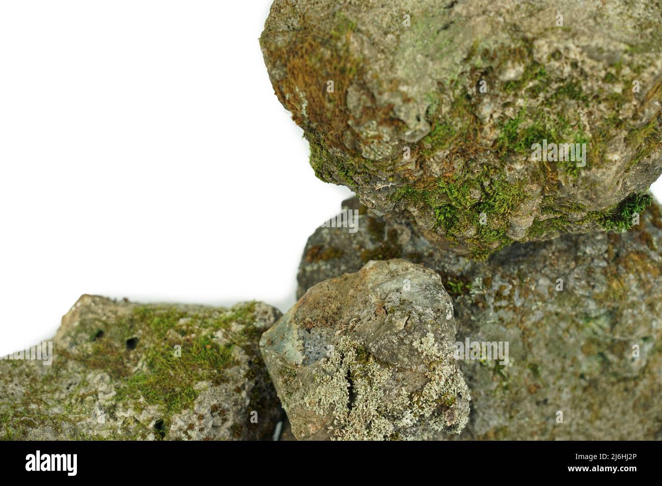 Vieille pierre poreuse surcultivée avec de la mousse sur fond blanc ...
