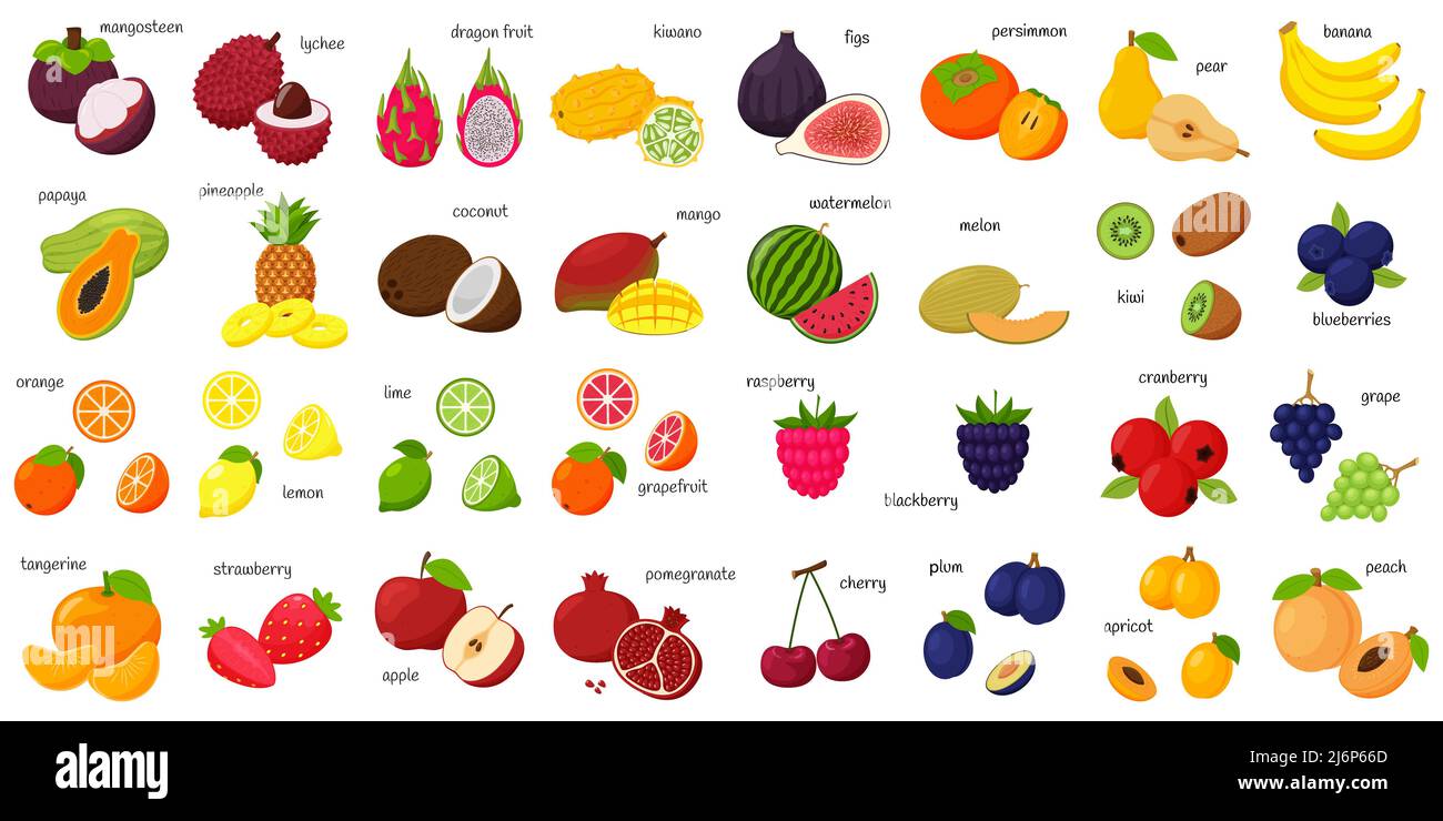 Un grand ensemble de fruits tropicaux, exotiques, agrumes avec des noms ...