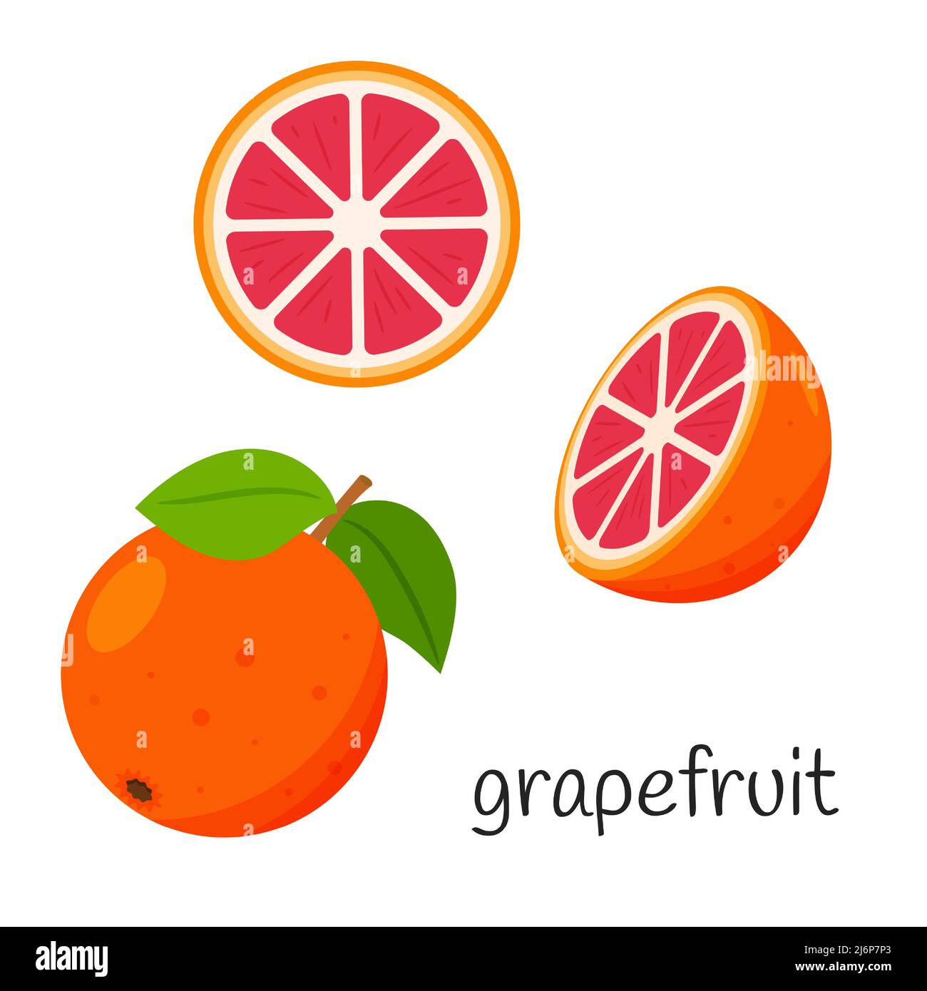 Pamplemousse entier Banque d'images vectorielles - Alamy