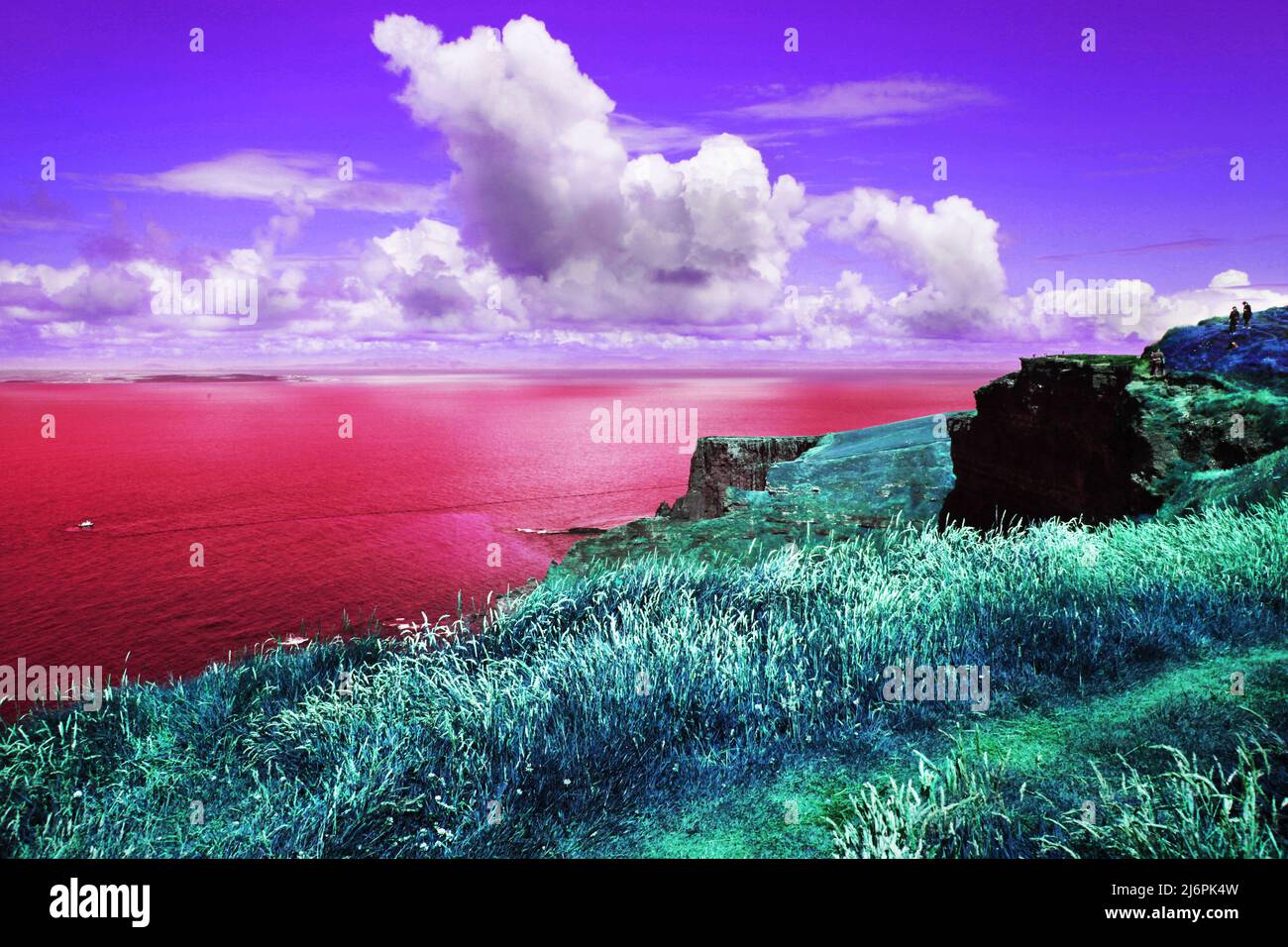 Phosphorescent bay Banque de photographies et d’images à haute ...