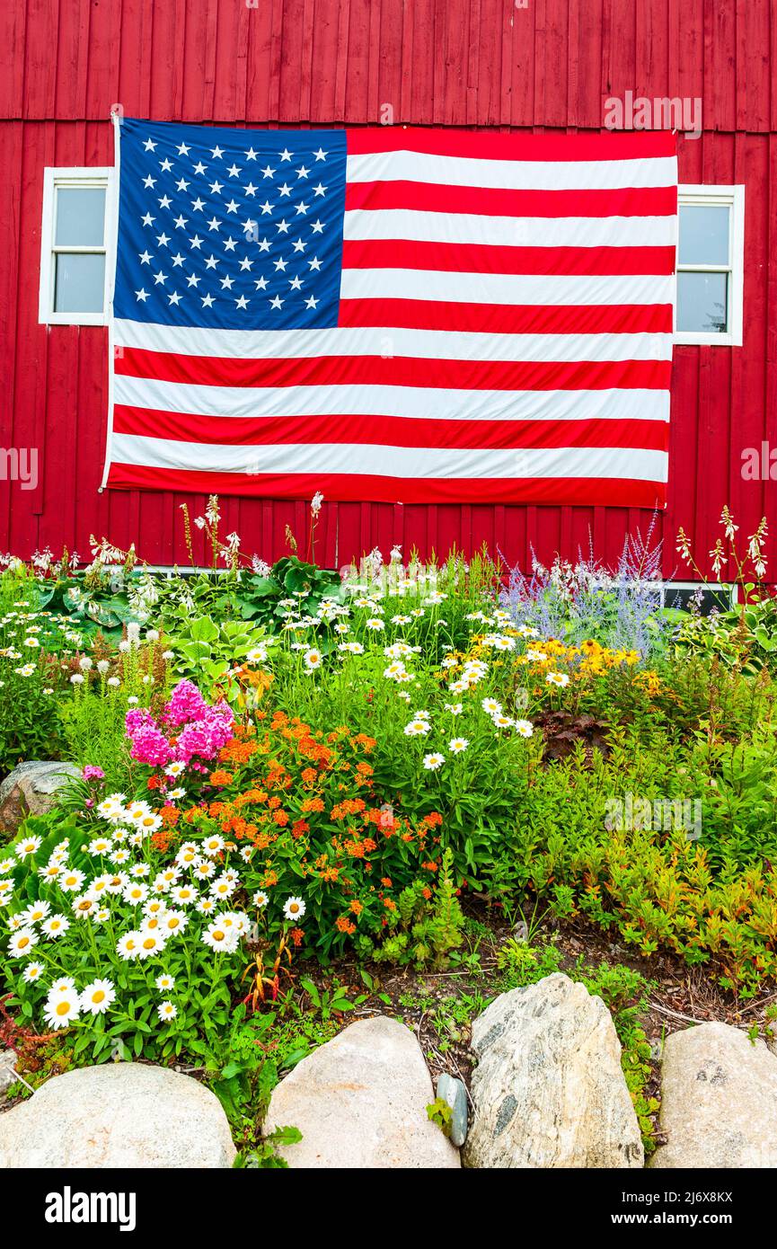 Fleur sauvage d'amérique du nord Banque de photographies et d’images à ...