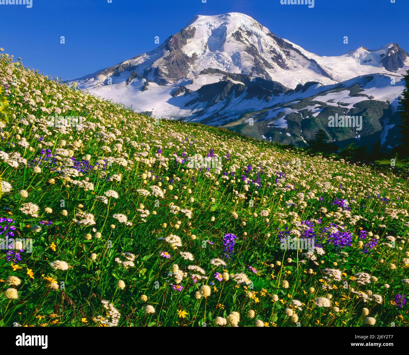 Skyline ridge Banque de photographies et d’images à haute résolution ...