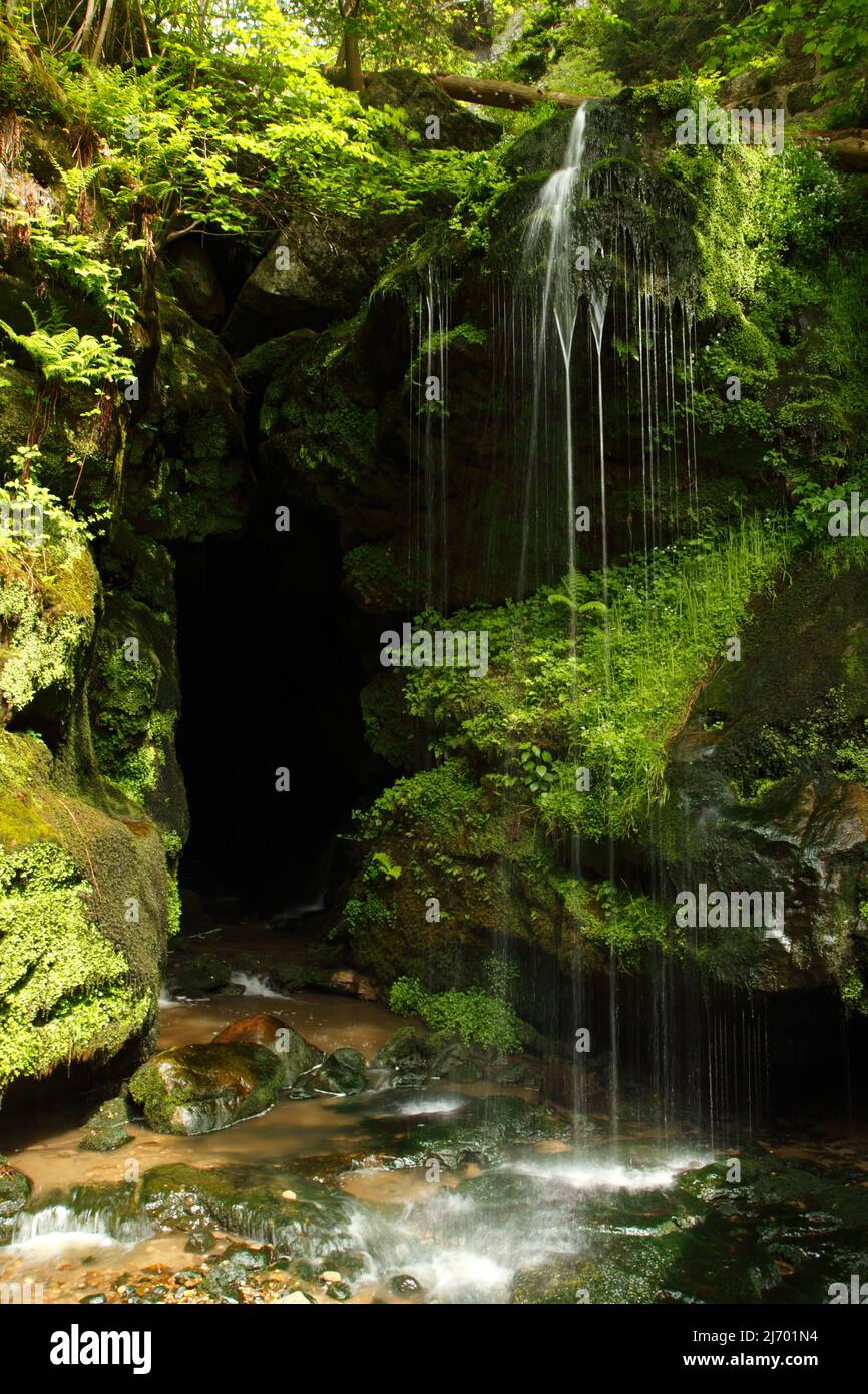 Petite cascade naturelle avec un environnement vert dans le paysage de ...