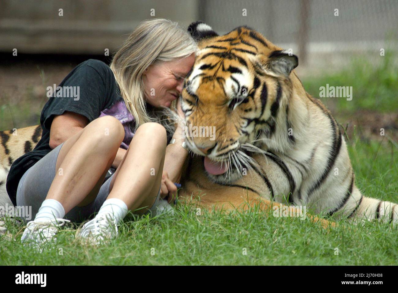VICKY KEAHEY À L'EXTÉRIEUR DE LA RÉGION DE TIGER. VICKY AVEC DES ...