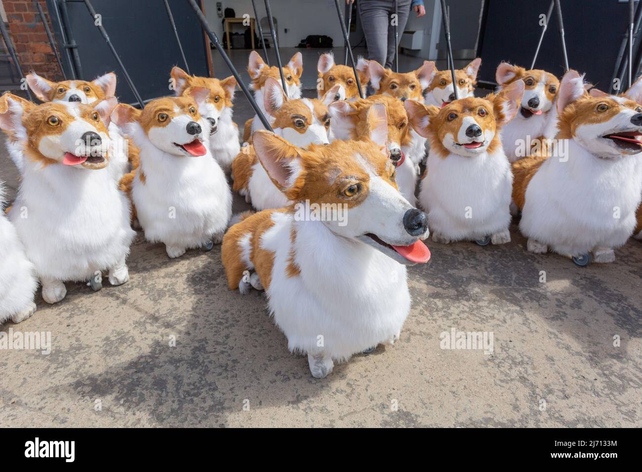 Marionnette corgi Banque de photographies et d’images à haute ...
