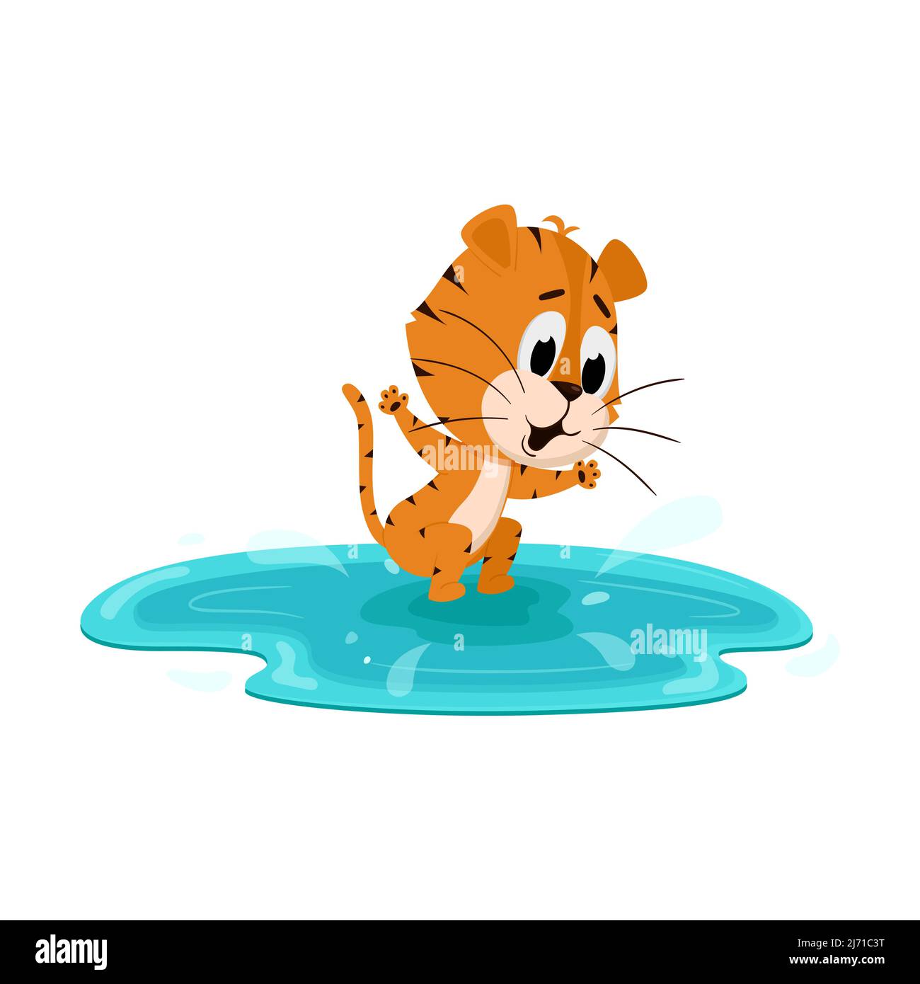 Le tigre saute dans une flaque, nage dans le lac. Joli personnage de ...