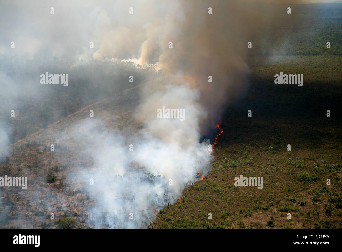 Forêt amazonie incendie Banque de photographies et d’images à haute ...