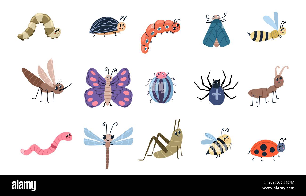 Insectes et insectes mignons. Personnage de papillon Moscito d'araignée ...