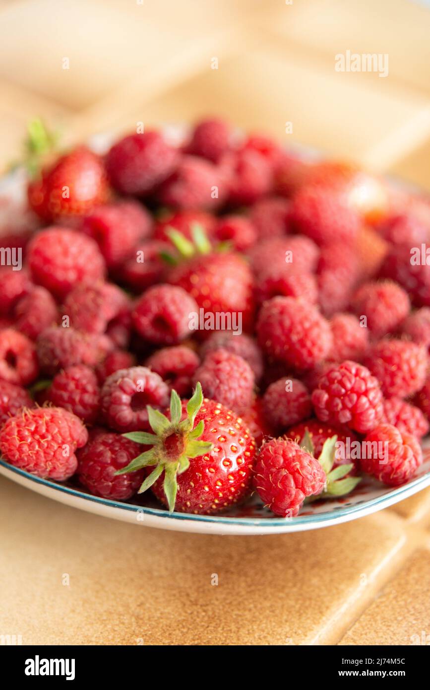 Grosse fraise Banque de photographies et d’images à haute résolution ...