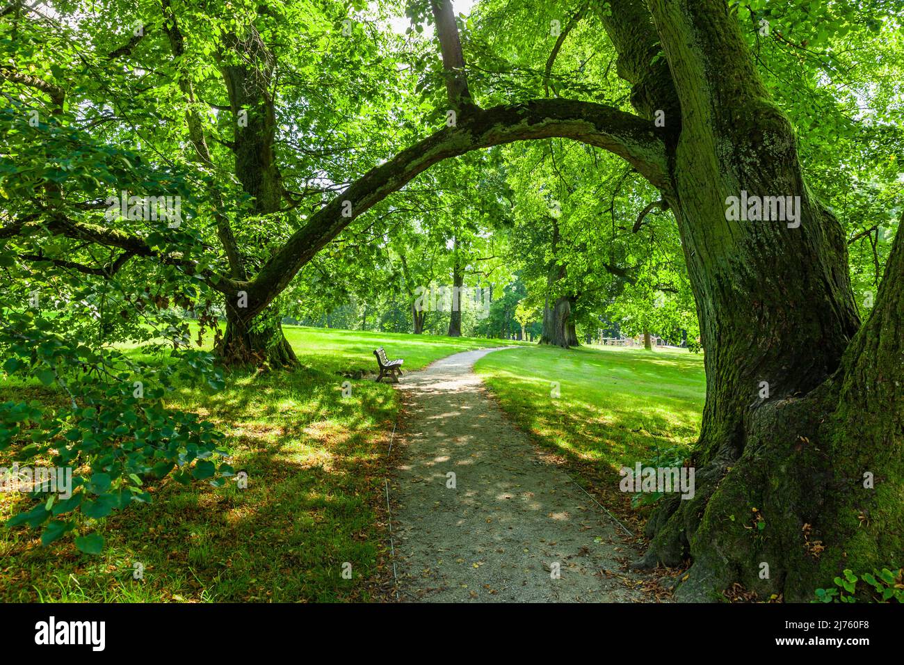 Banc de repos Banque de photographies et d’images à haute résolution ...