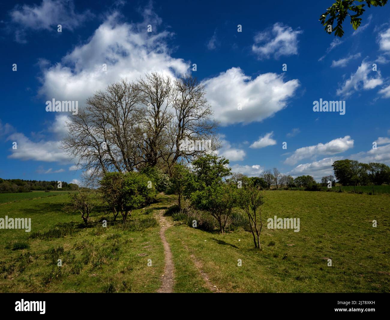 Stane street Banque de photographies et d’images à haute résolution - Alamy