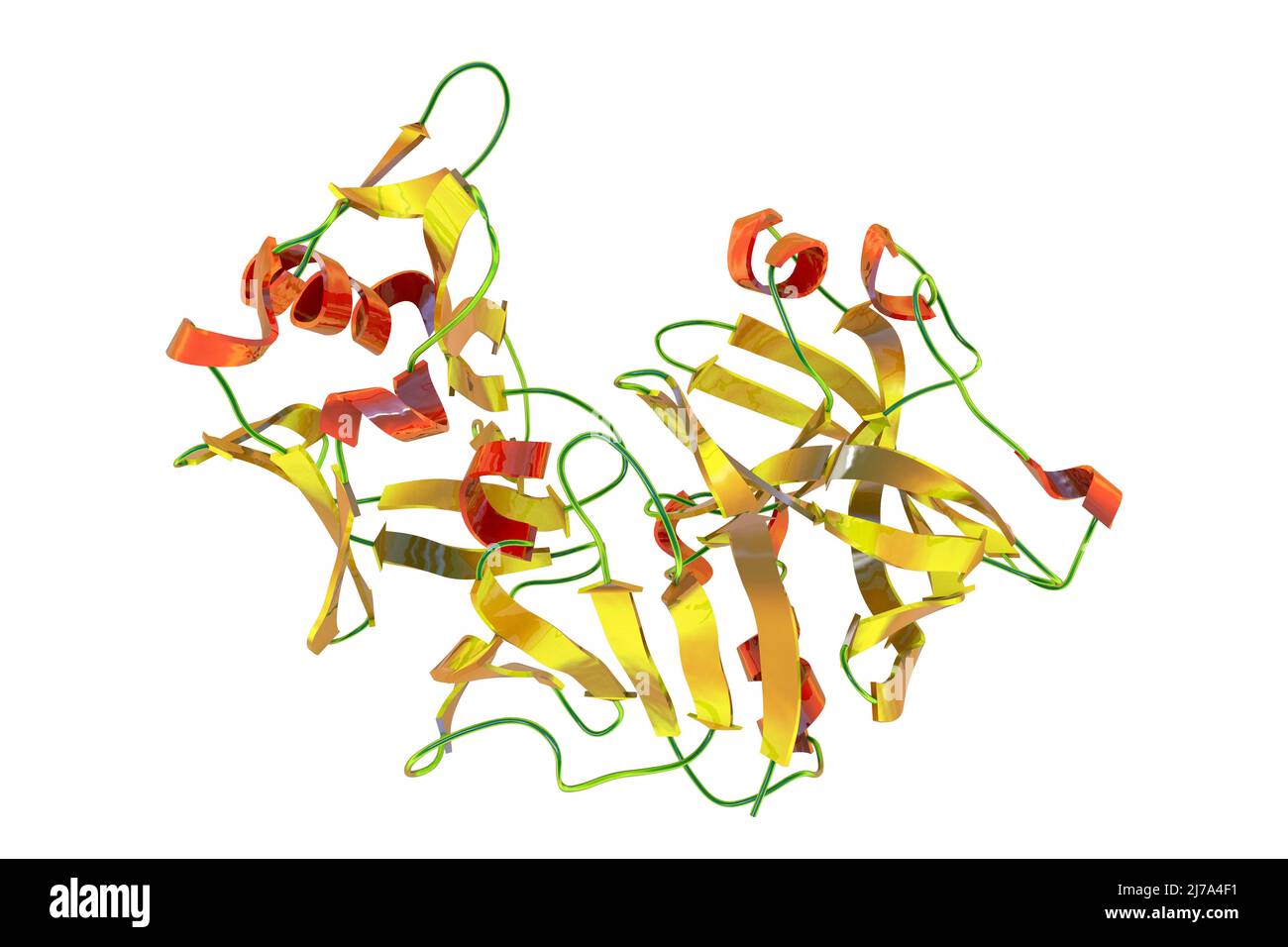 Gastric enzyme pepsin Banque de photographies et d’images à haute ...