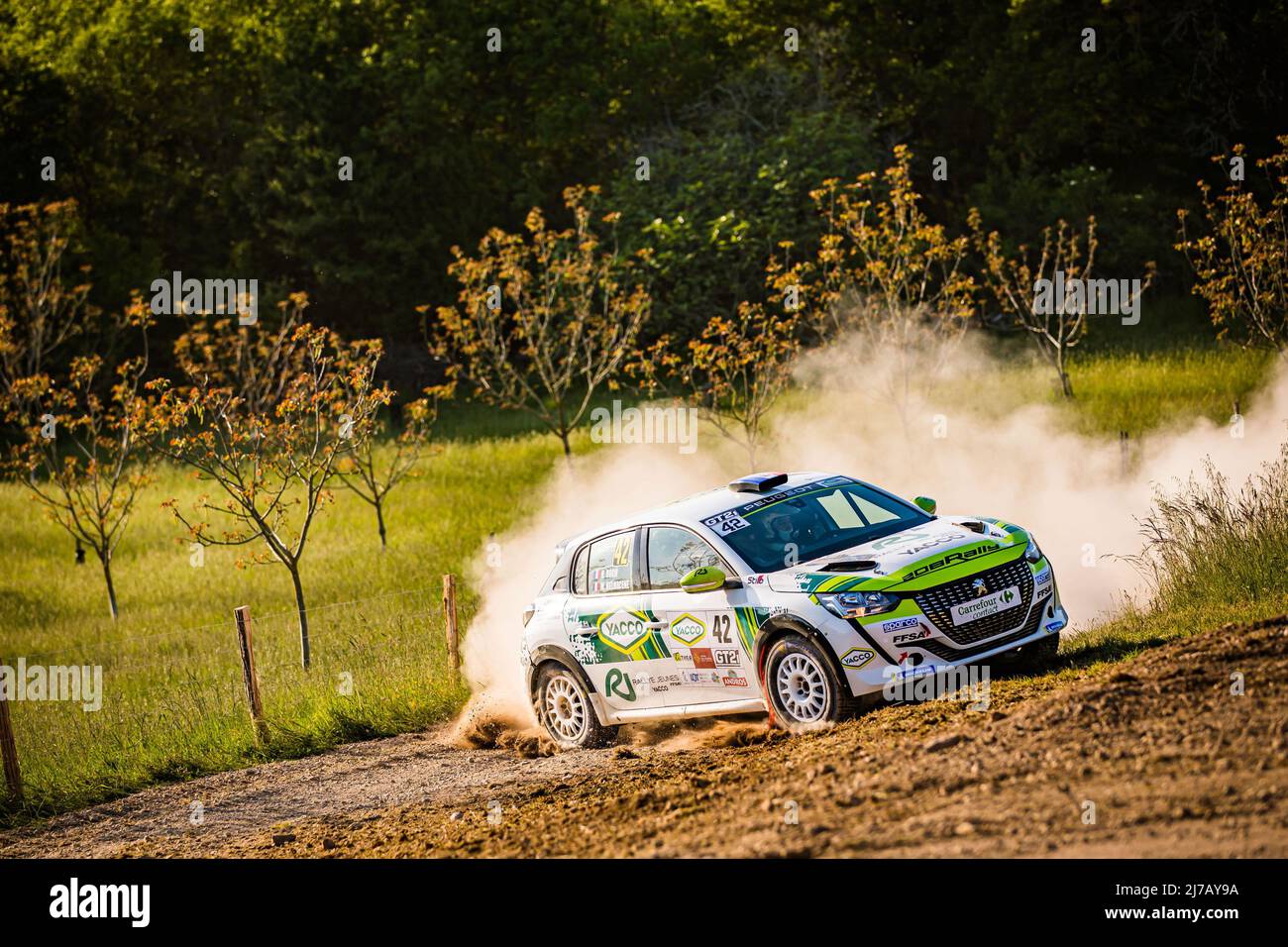 42 ROCH Hugo, BELHACÈNE Mathieu, PEUGEOT 208 Rally 4, action pendant le ...