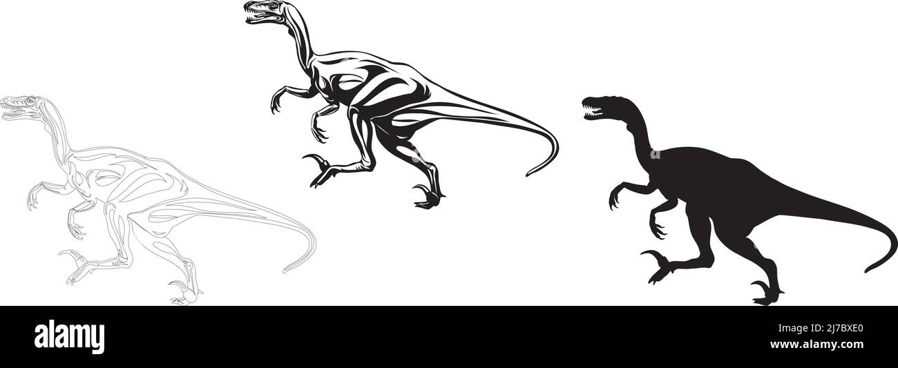 velociraptor, image réaliste de dinosaure, vecteur, positions, illustration, noir et blanc ...
