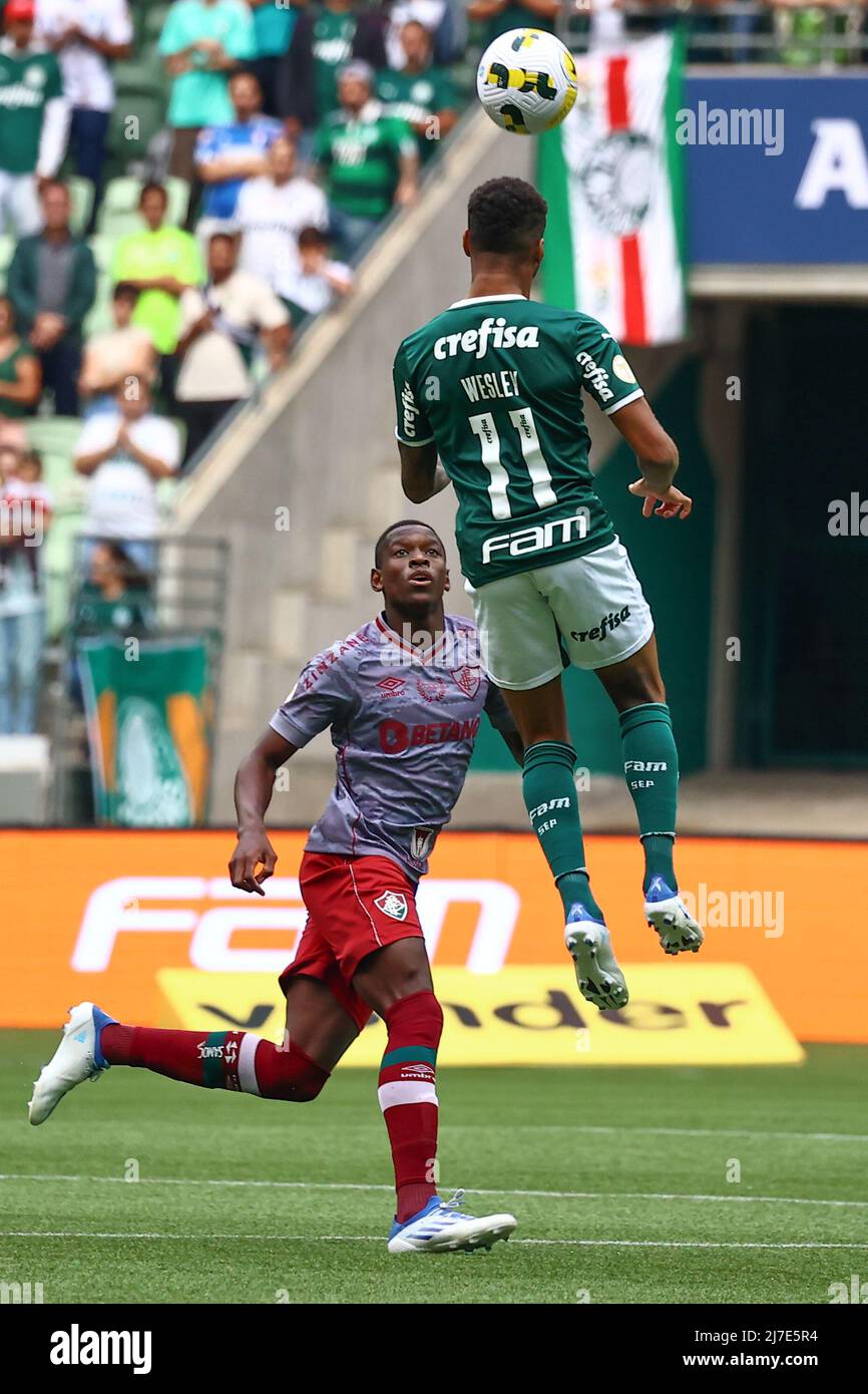 SP - Sao Paulo - 05/08/2022 - BRAZILIAN A 2022, PALMEIRAS X FLUMINENSE ...