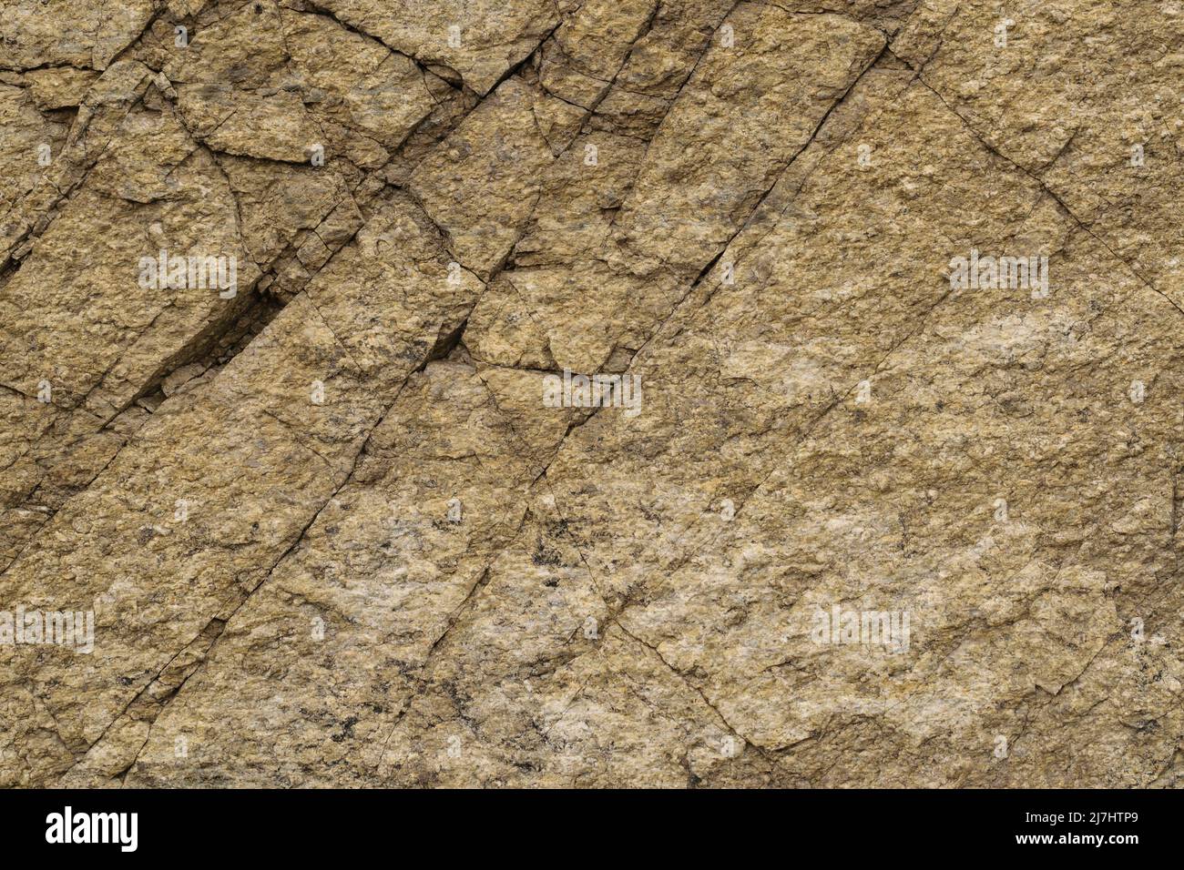 Texture du massif du schiste avec inclusions de quartz. La surface de ...