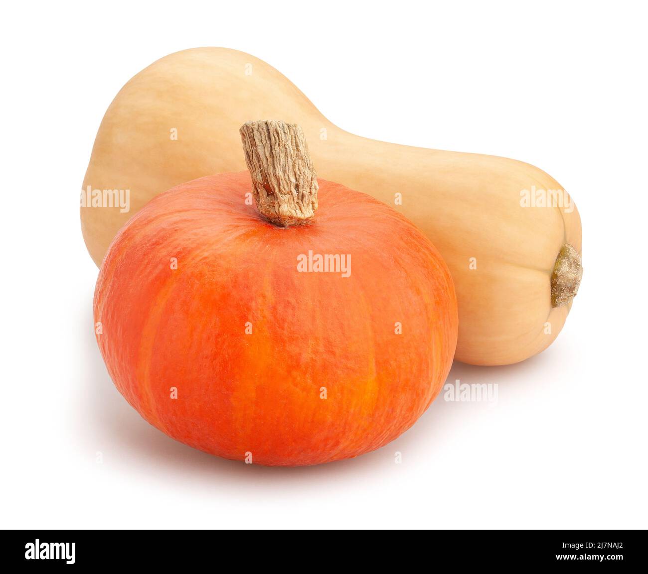 Courge butternut blanche Banque de photographies et d’images à haute ...