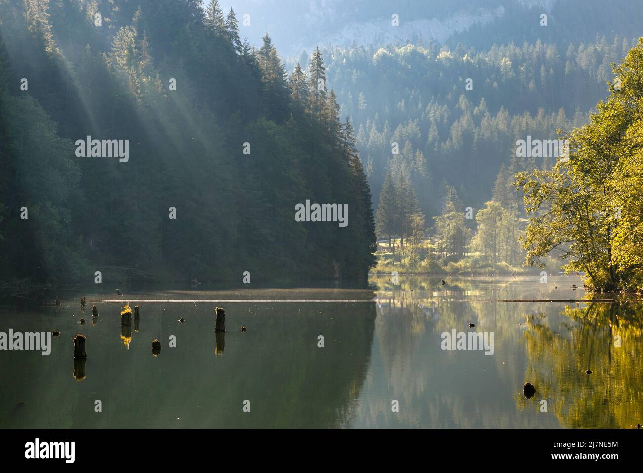 Lacul rosu Banque de photographies et d’images à haute résolution - Alamy