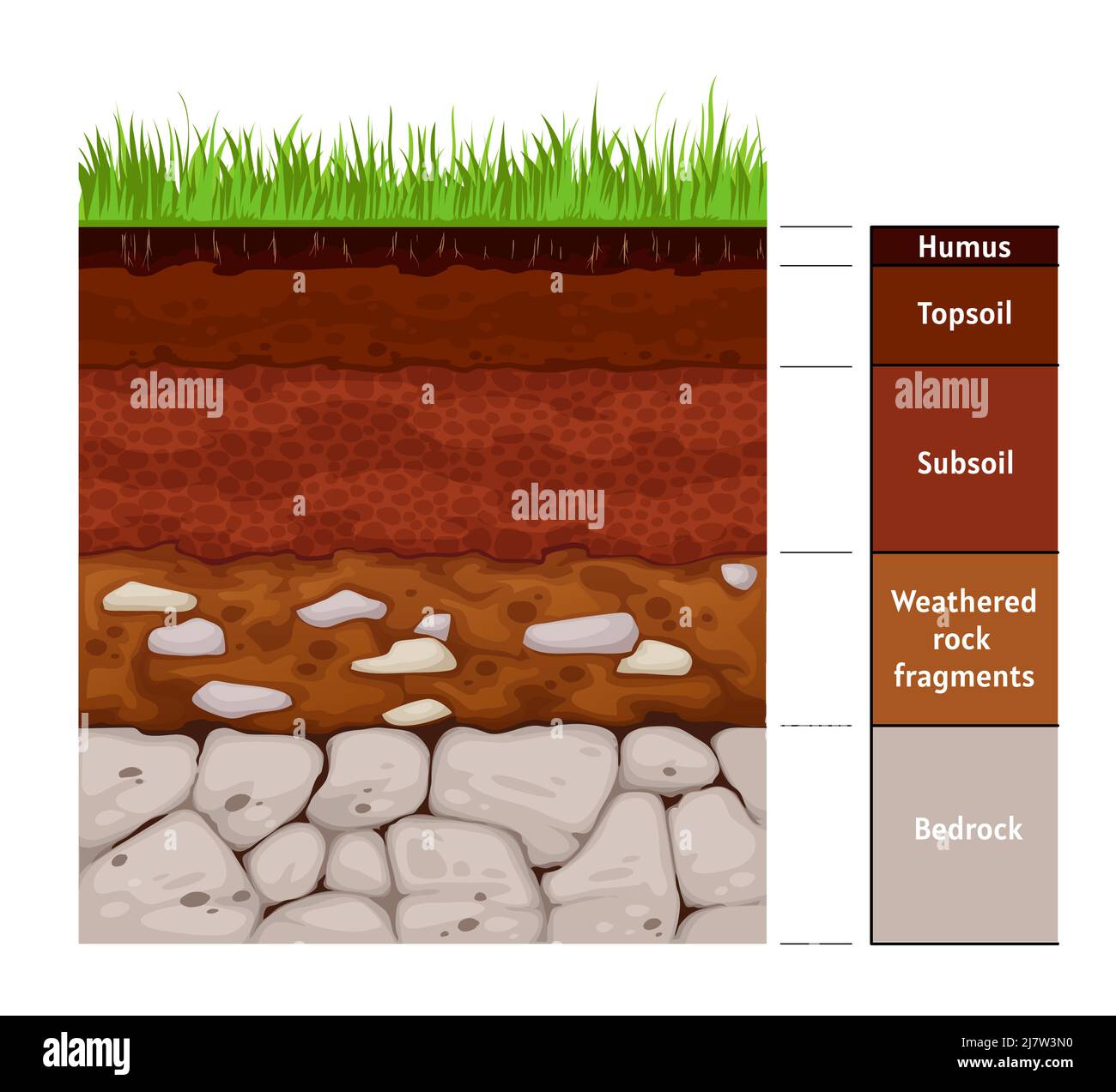 Infographie sur la couche de sol, formation géologique de la terre ...