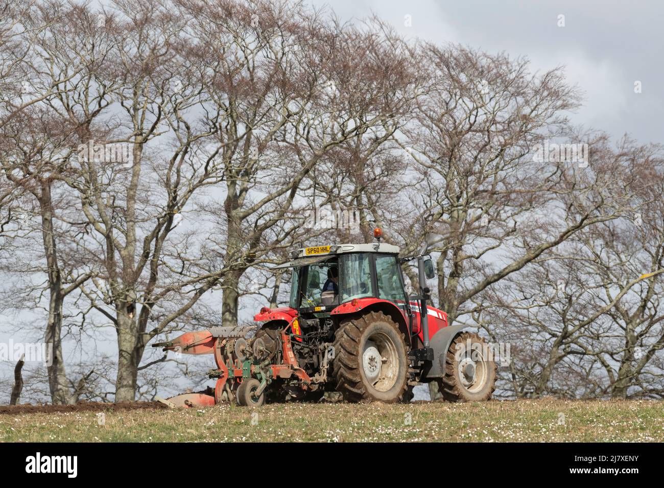 Tracteur rouge massey ferguson agriculture Banque de photographies et d ...