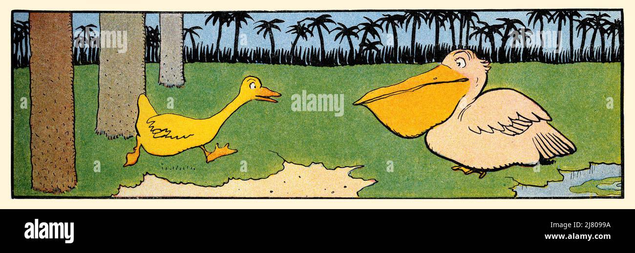 Canard et crocodile Banque de photographies et d’images à haute ...