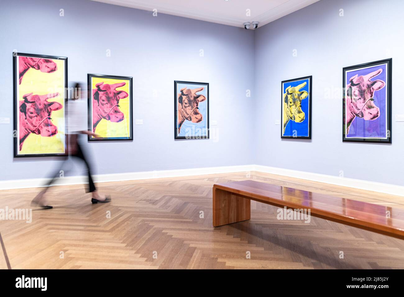 13 mai 2022, Rhénanie-du-Nord-Westphalie, Münster : Un employé du musée ...