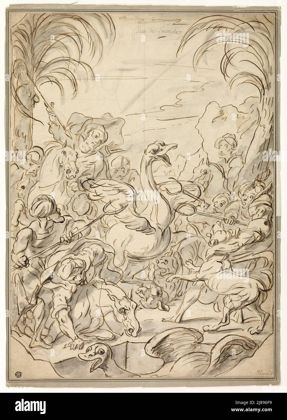 Drawing ostrich bird struthio camelus Banque de photographies et d ...