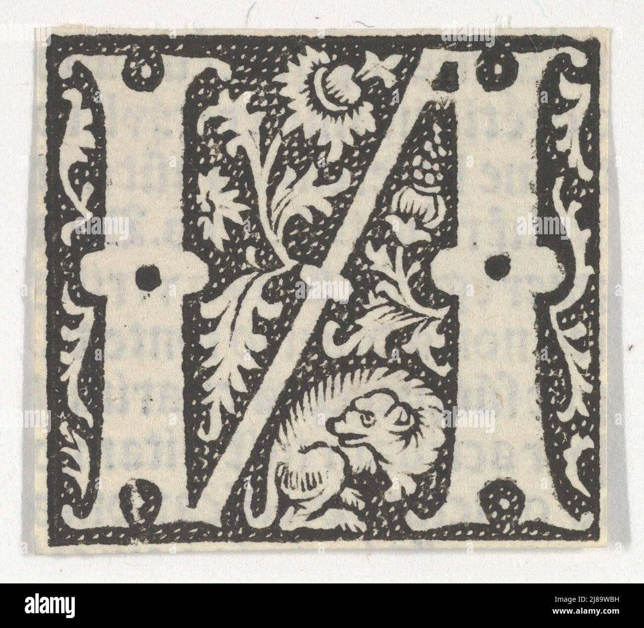 Lettre de l'alphabet romain n Banque de photographies et d’images à ...