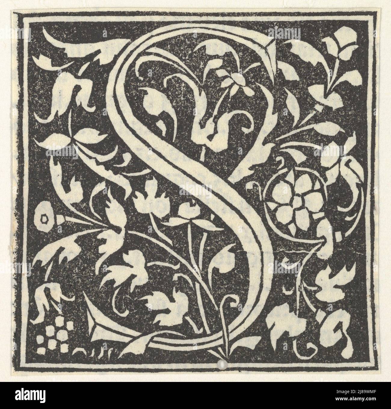 Lettre s alphabet floral noir Banque de photographies et d’images à ...