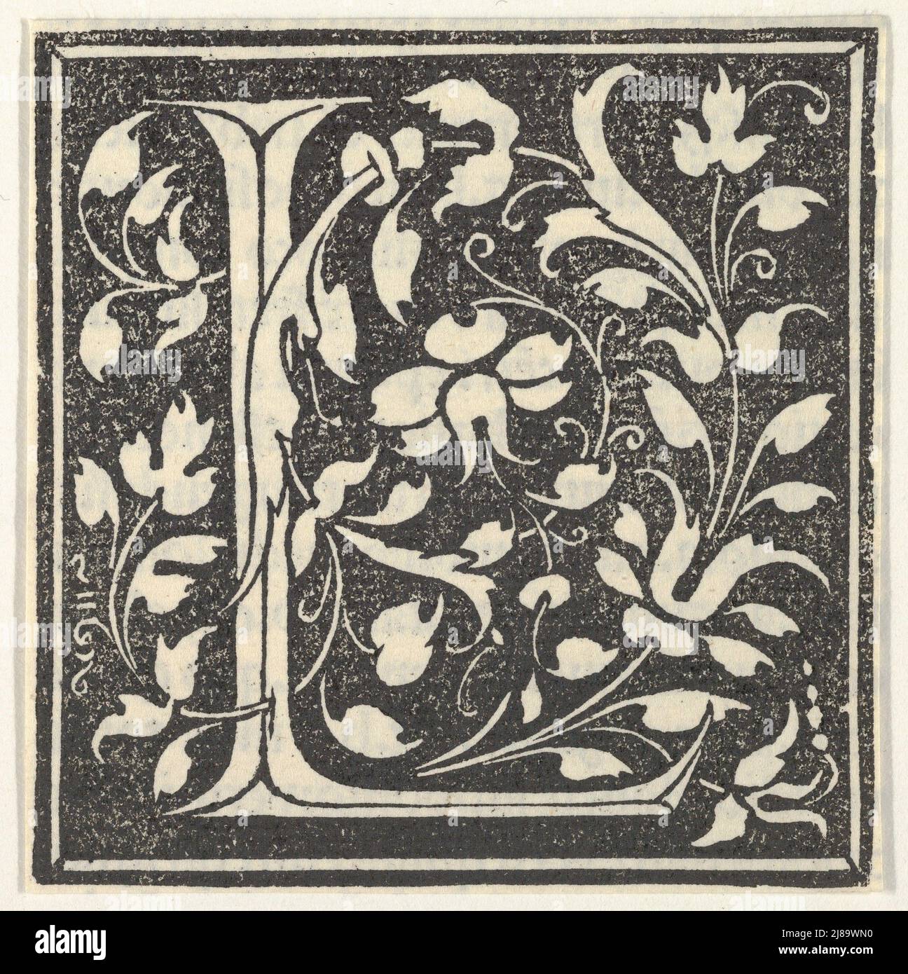 Lettre initiale l Banque de photographies et d’images à haute ...