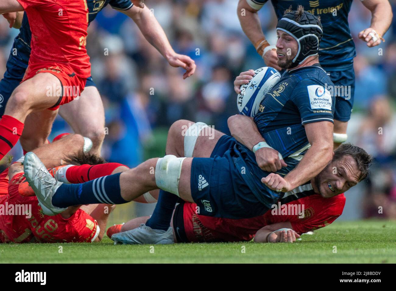 Rynhardt elstadt rugby Banque de photographies et d’images à haute ...