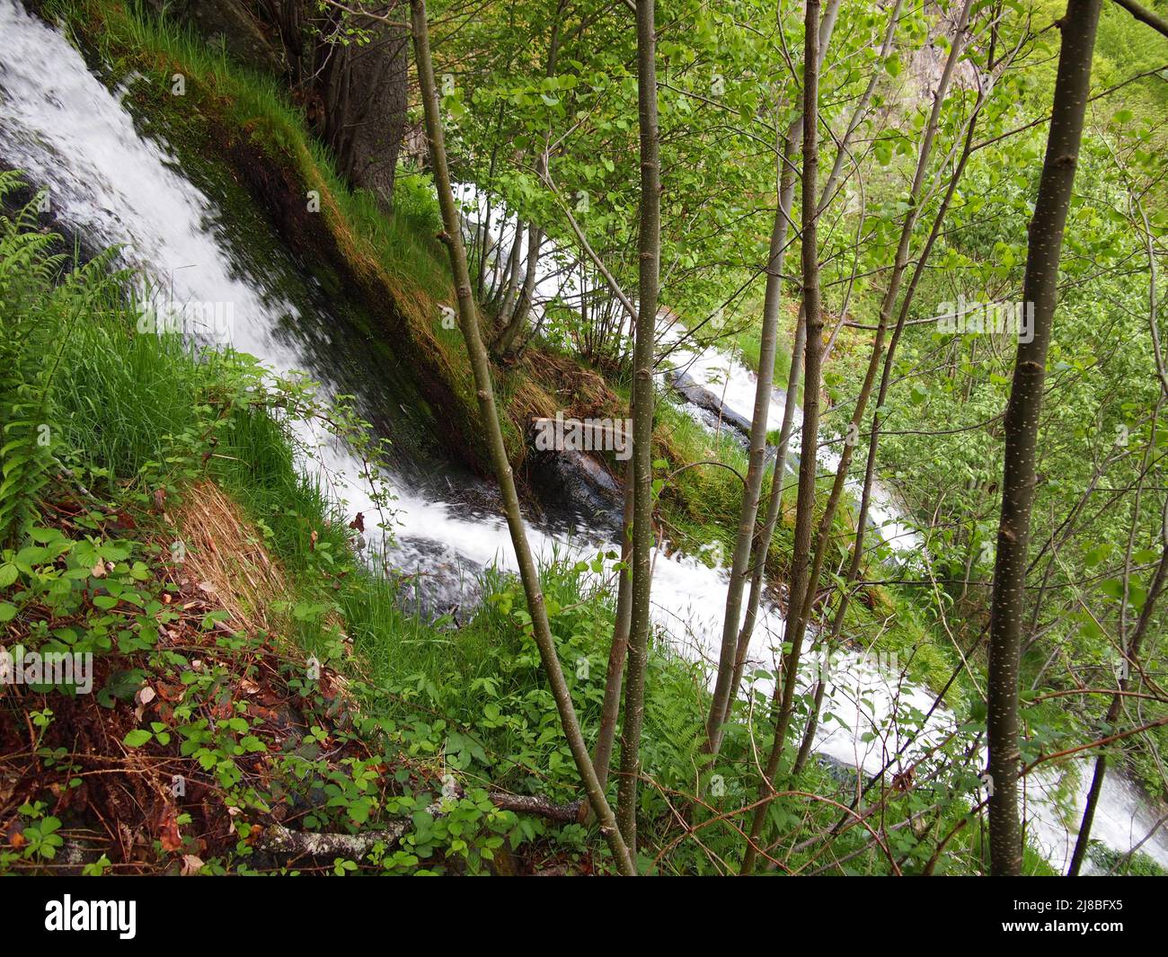 Cascade de todtnau Banque de photographies et d’images à haute ...