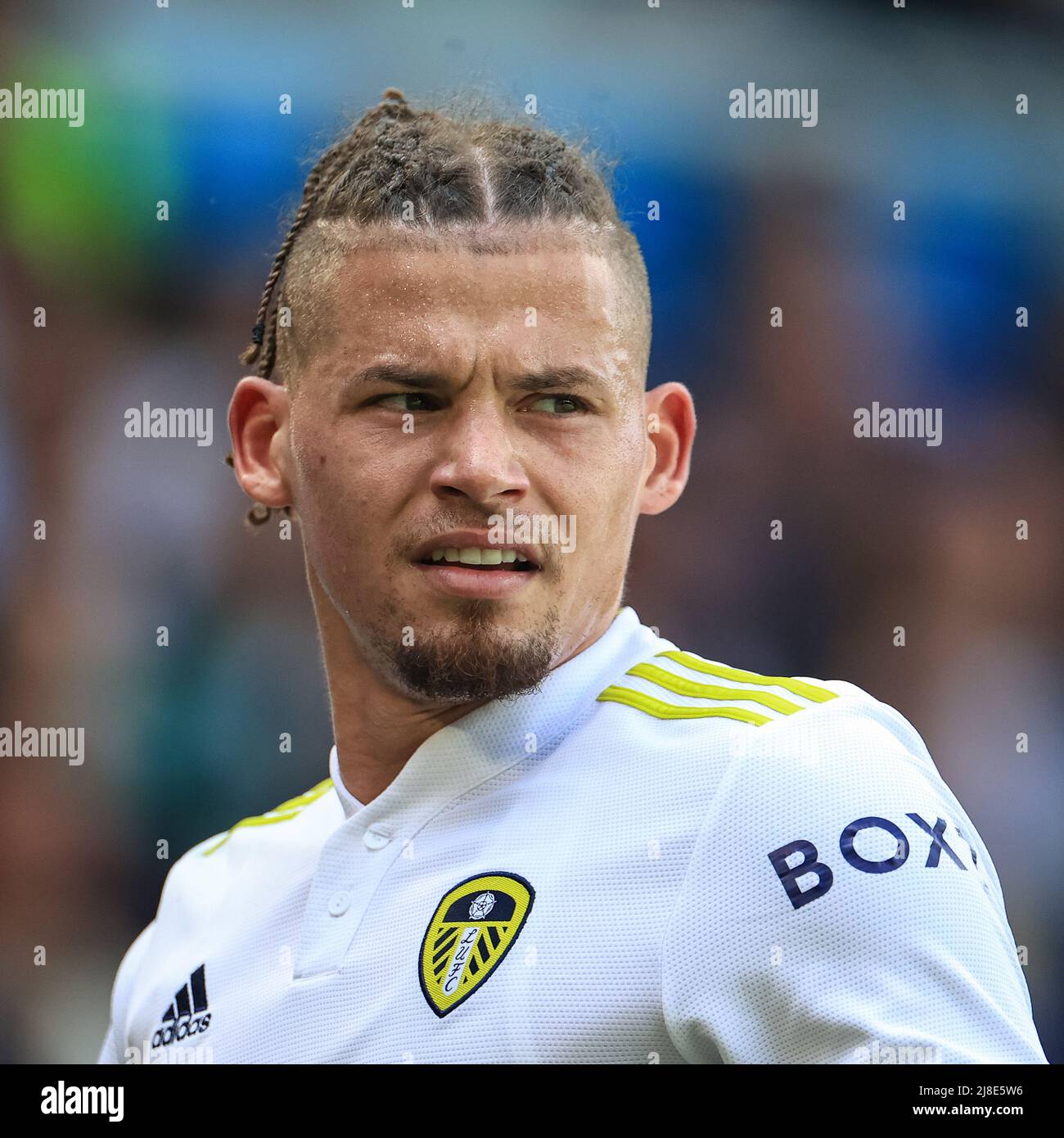 Portrait de kalvin phillips Banque de photographies et d’images à haute ...