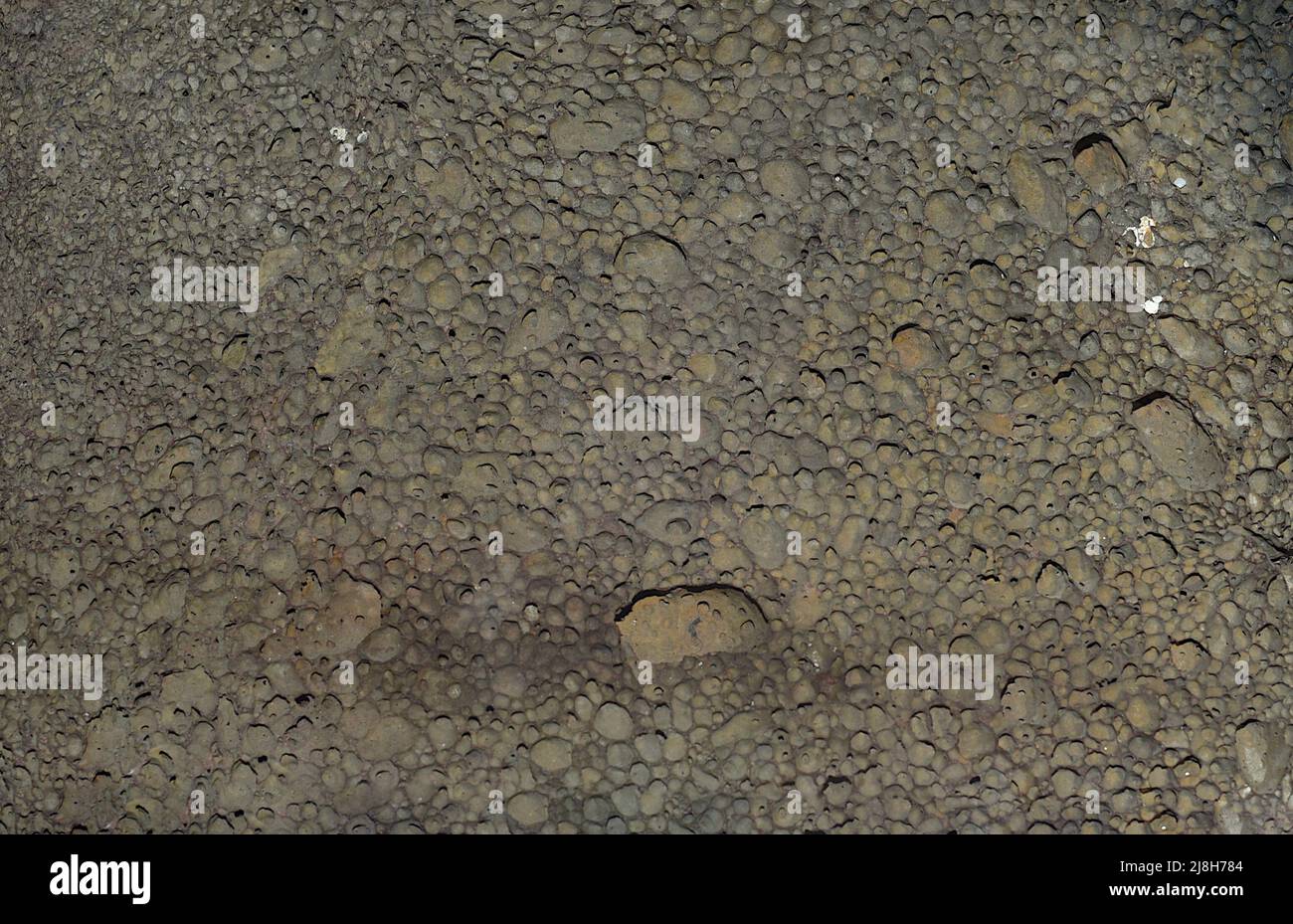 Old porous volcanic rock background Banque de photographies et d’images ...