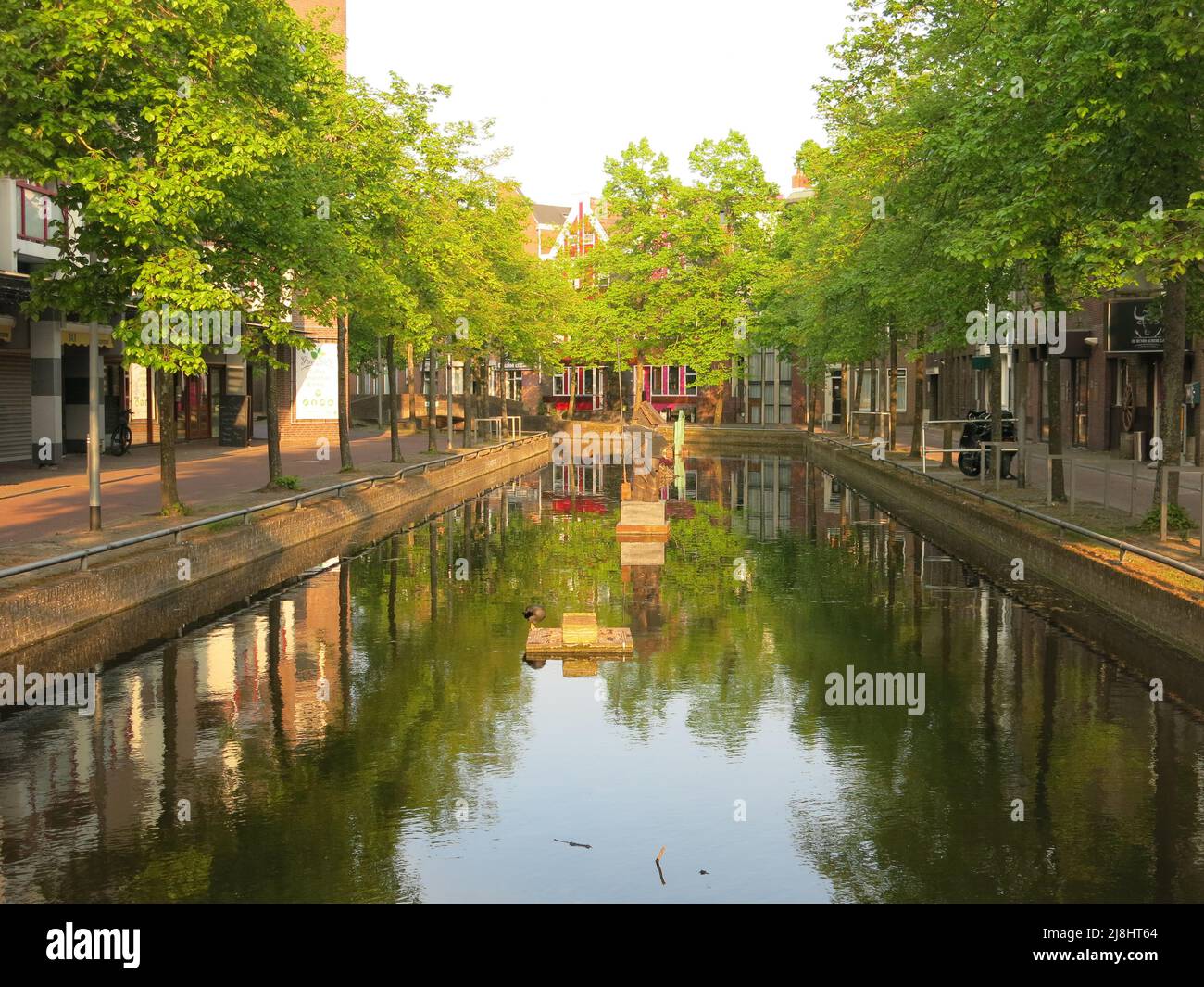 Des banques bordées d'arbres et des maisons en bord de canal le long de ...