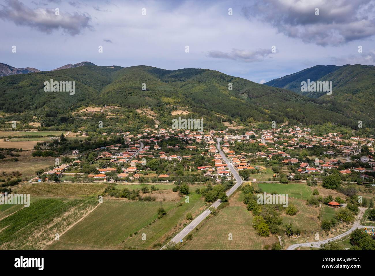 Champs de roses Banque de photographies et d’images à haute résolution ...