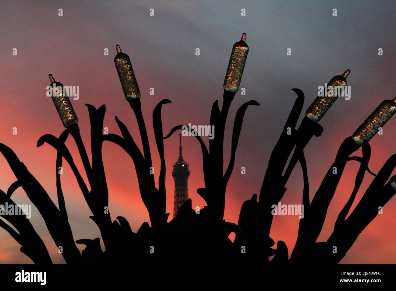 La Tour Eiffel entourée de rafles de maïs en verre la nuit, faisant ...