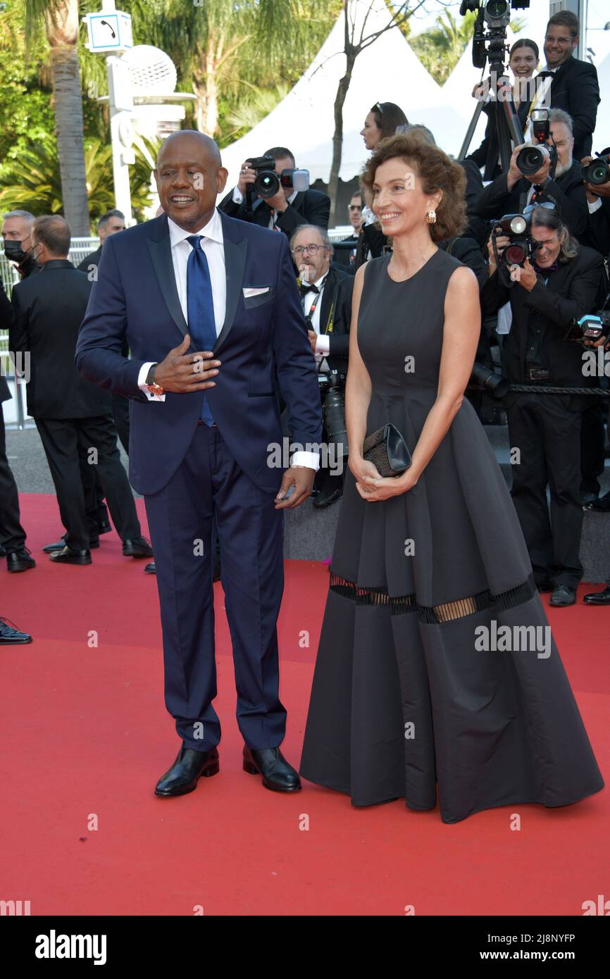 Cannes, France. 17th mai 2022. 75th Festival de Cannes 2022, cérémonie ...