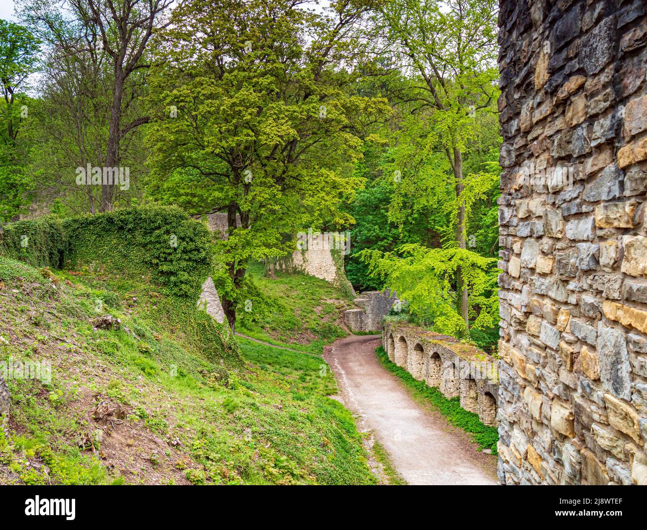 Mur défensif d'un château médiéval en ruine, Plesse Burg, quartier de ...
