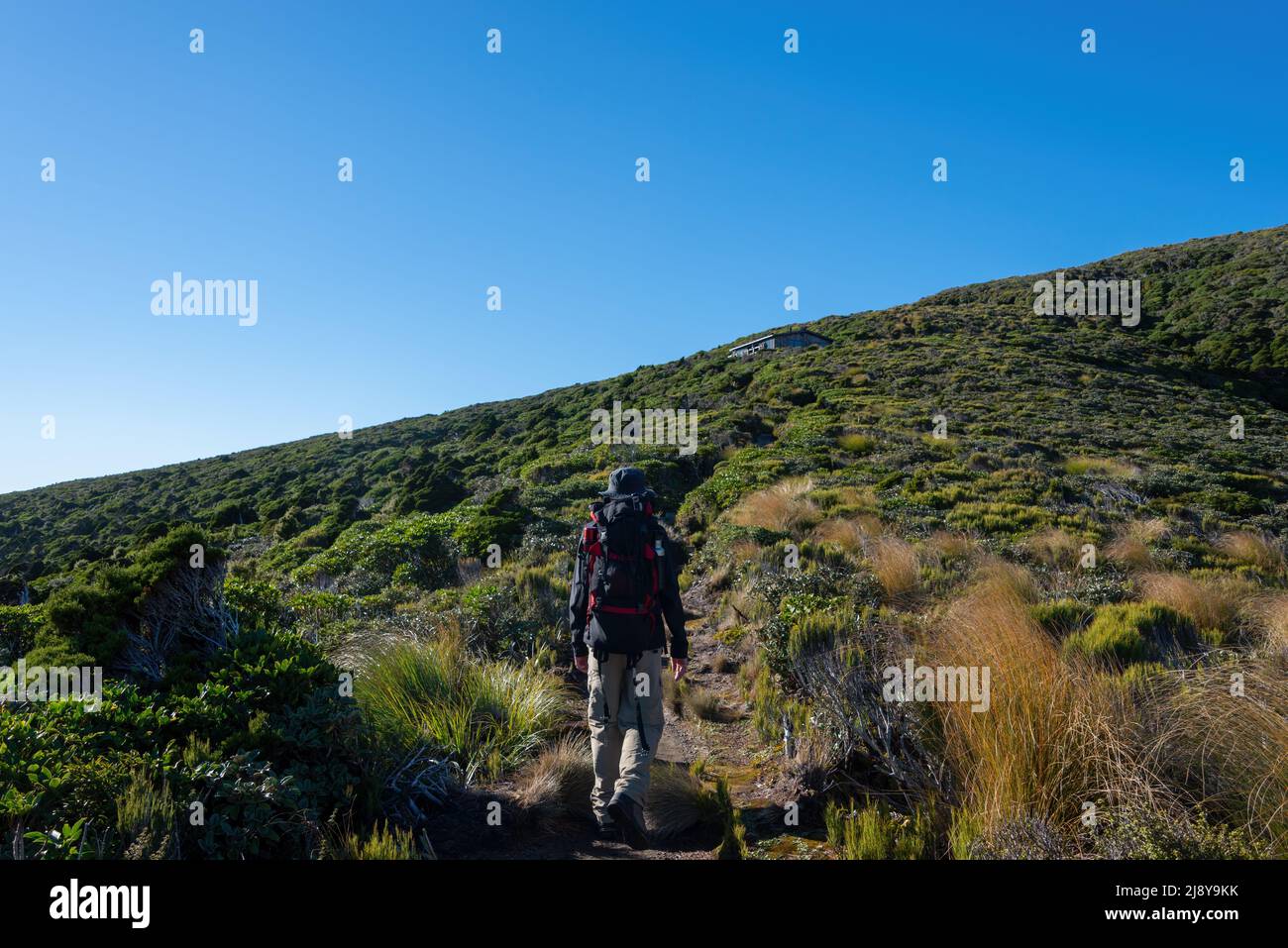 Pouakai track Banque de photographies et d’images à haute résolution ...