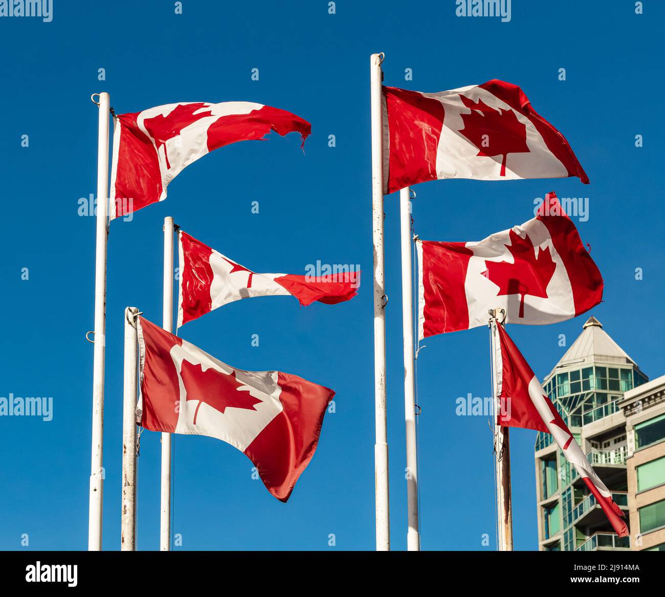 Symbole canada Banque de photographies et d’images à haute résolution ...