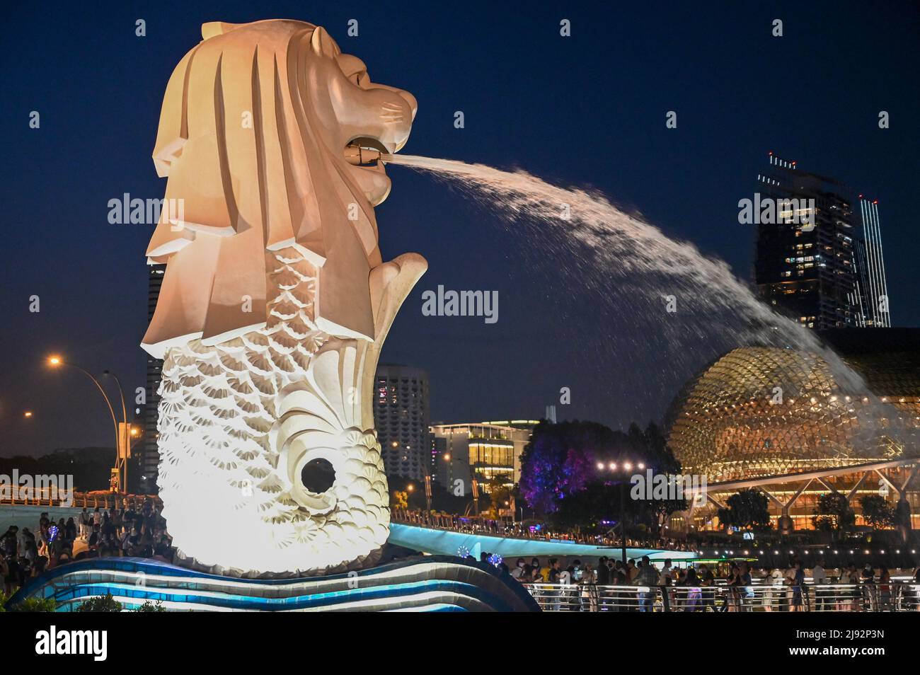 Merlion Park, une statue emblématique de Singapour la nuit. Le Merlion ...