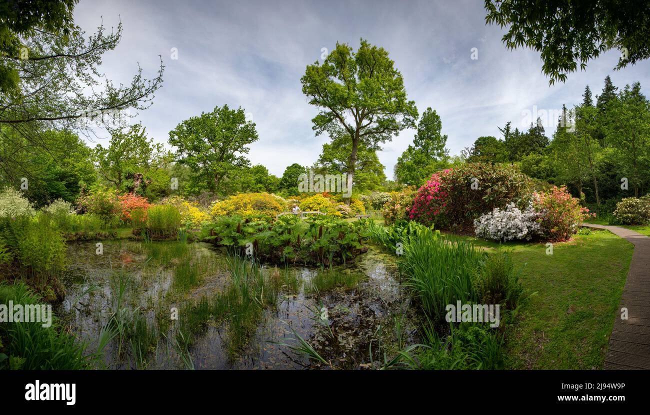 Norfolk Broads, How Hill Secret Garden, Norfolk England, 20 mai 2022 ...