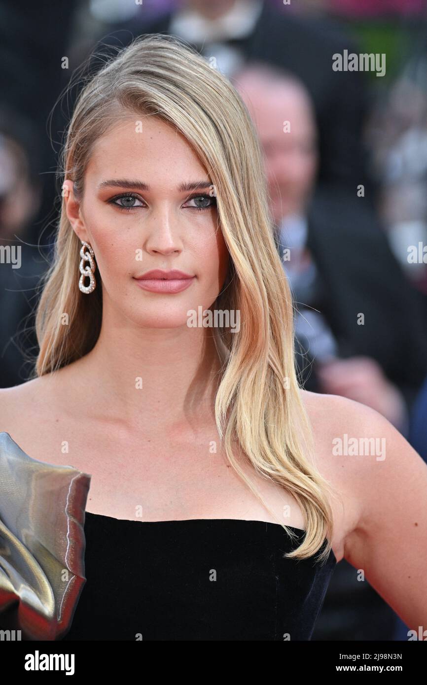 Noel capri berry Banque de photographies et d’images à haute résolution ...